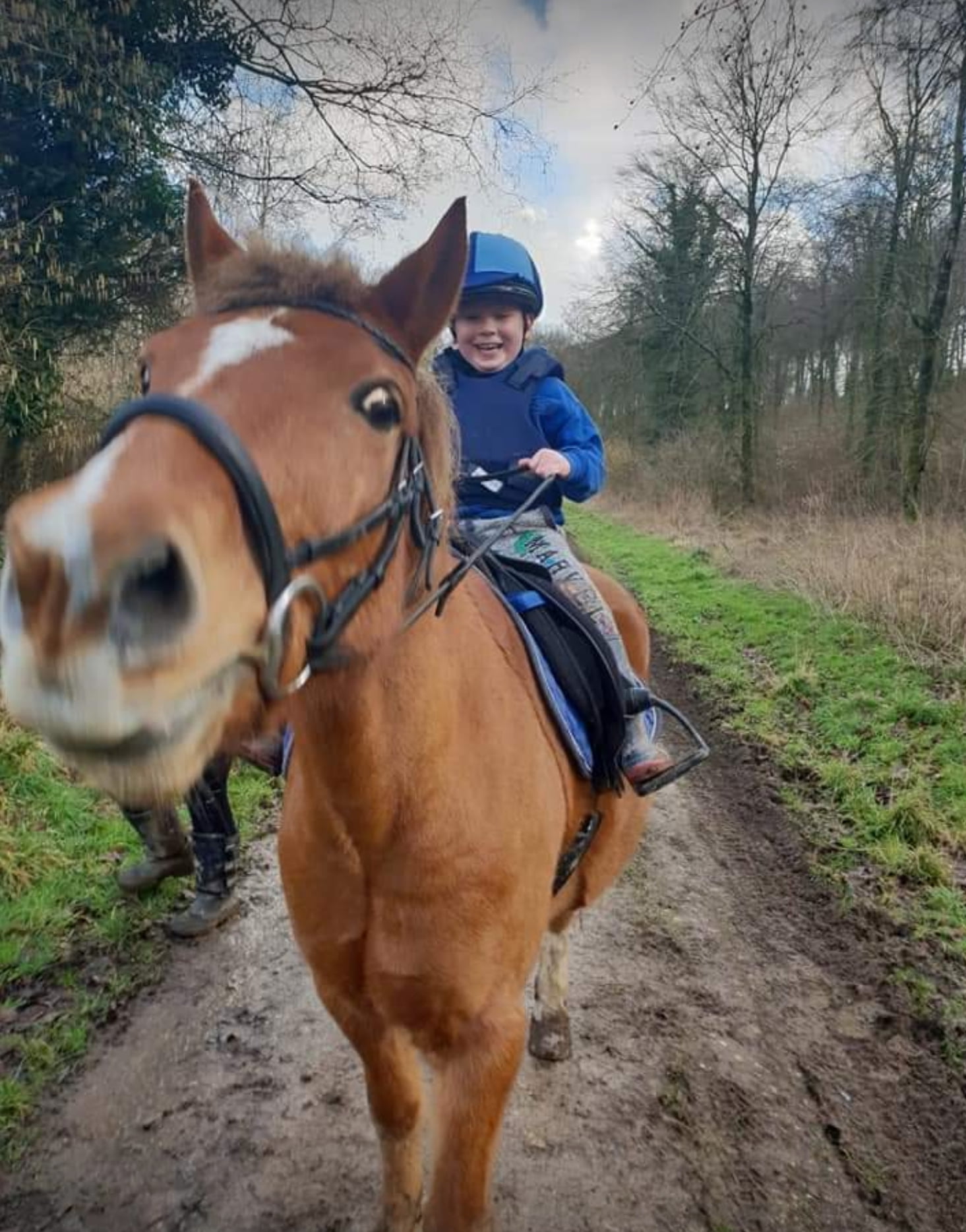 Luccombe Riding Centre